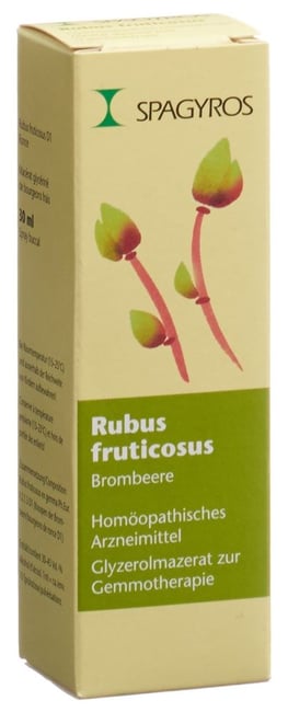 Spagyros Rubus fruticosus Glyc Maz 1 D Spr 30 ml | Sun Store Apotheke