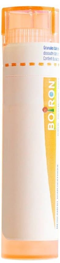 Boiron pollen pollant gran 15 CH 4 g | Farmacia Sun Store