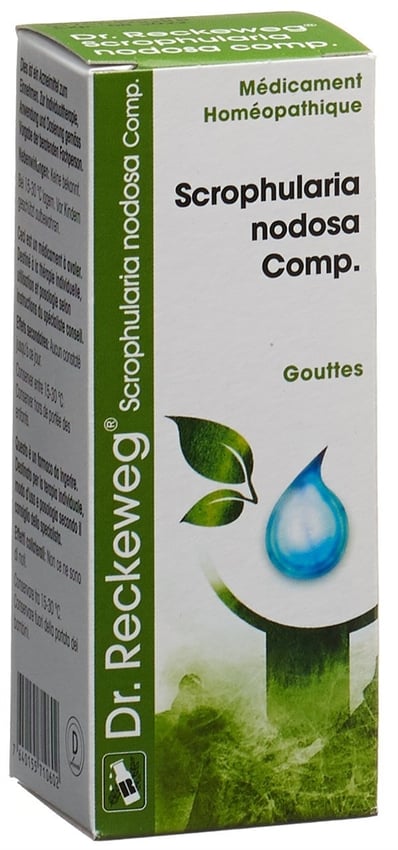 RECKEWEG R17 Scrophularia nodosa Comp. Tropfen 50 ml | Sun Store Apotheke