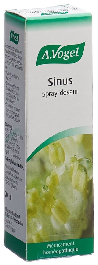 VOGEL Stirnhöhlen Dosierspray Fl 20 ml | Sun Store Apotheke